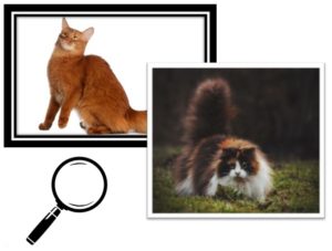 Teaching Resources for EAL – Members | REAL Learners